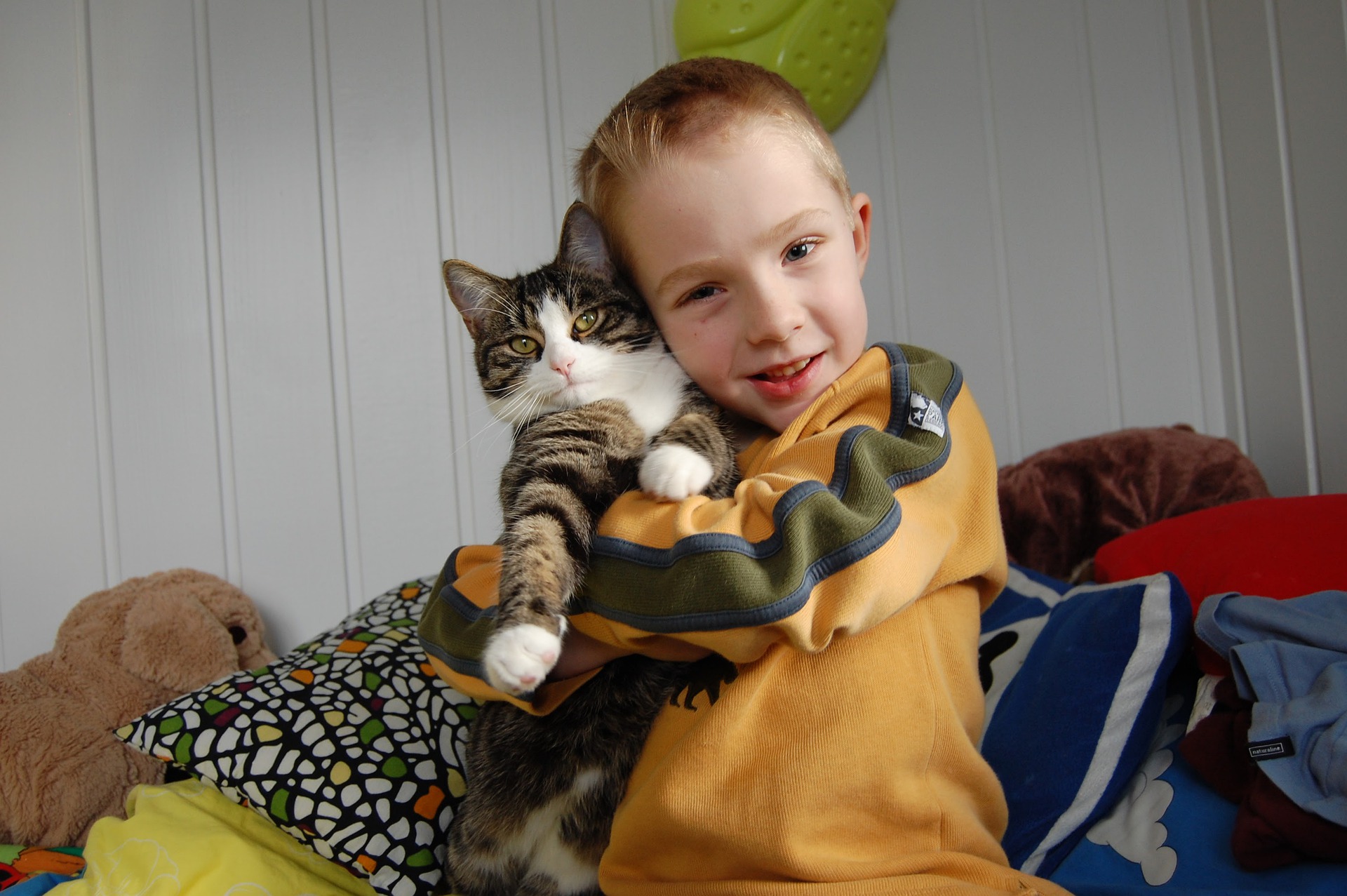 Cat in Hectic Family Life with Playful Kids - Kids Universe